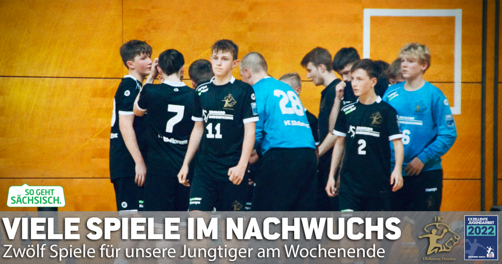 [NLZ] Alle Altersklassen am Wochenende im Einsatz - Jungtiger HC Elbflorenz