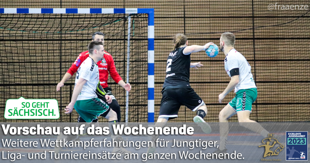 [NLZ] Weitere Wettkampferfahrung für Jungtiger - Jungtiger HC Elbflorenz