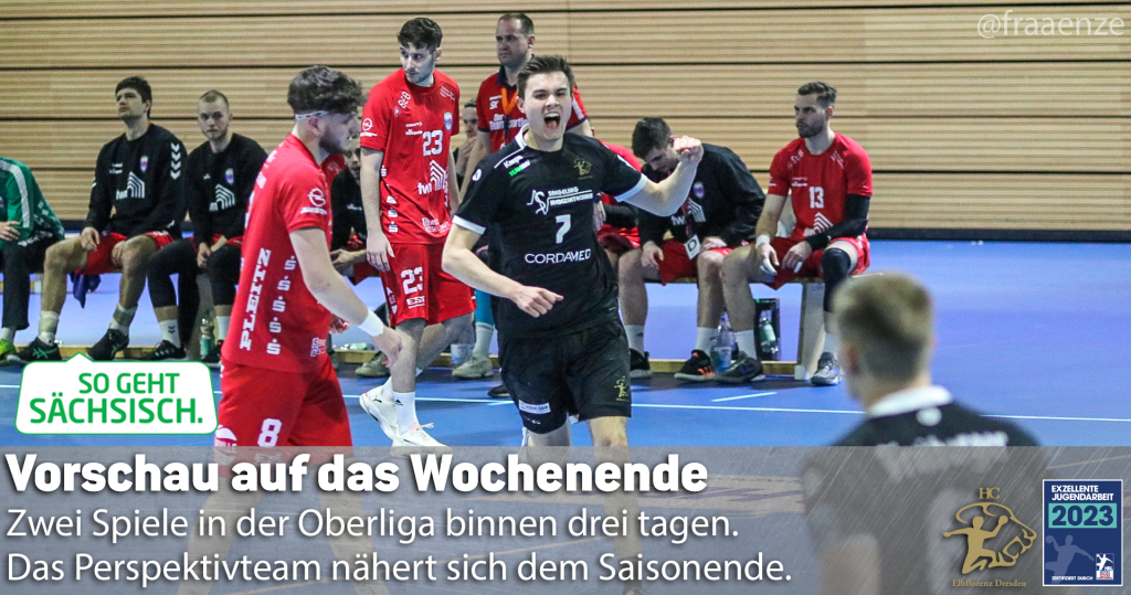 [NLZ] Doppelspieltag für das Perspektivteam - Jungtiger HC Elbflorenz