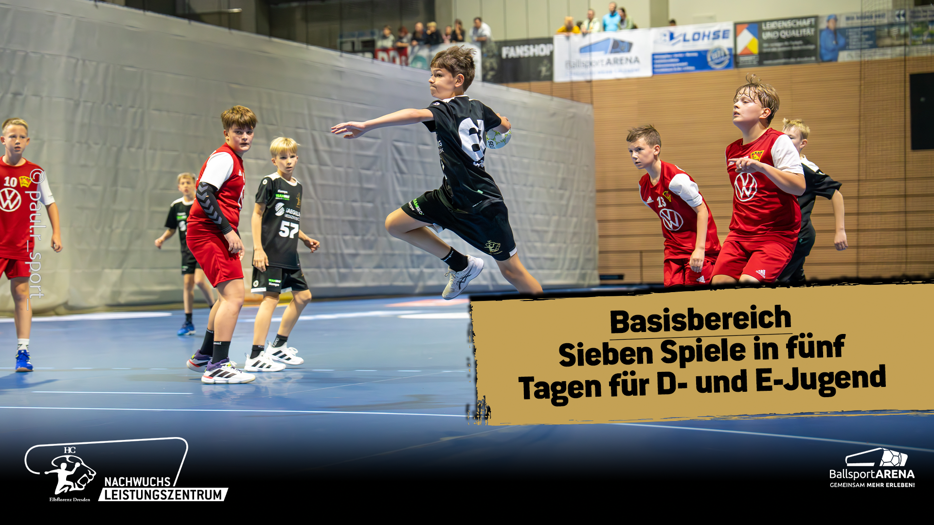 Startseite - Jungtiger HC Elbflorenz